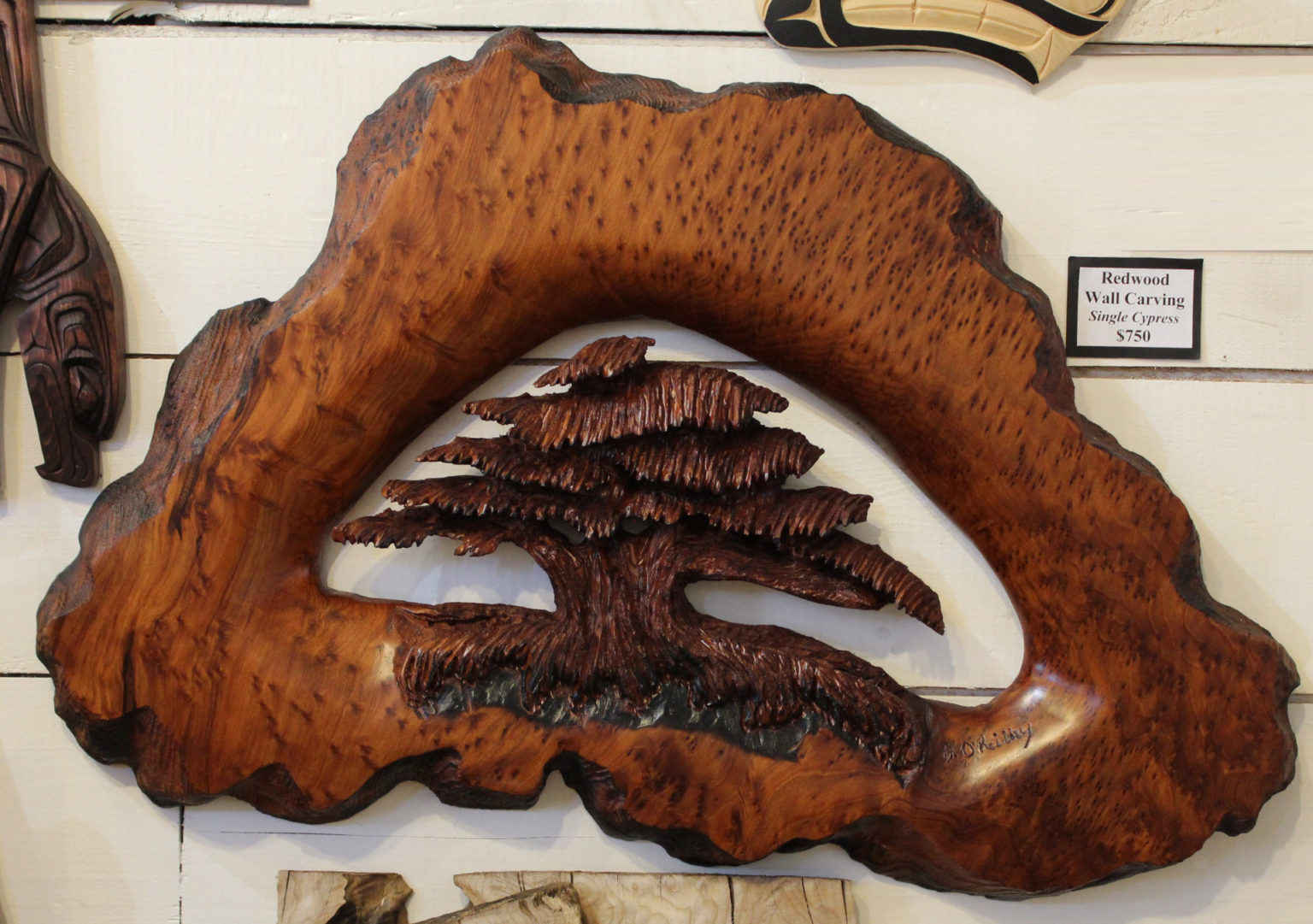 Carved Redwood Burl Slab Wall Tree Panels - Forest Gems Gallery