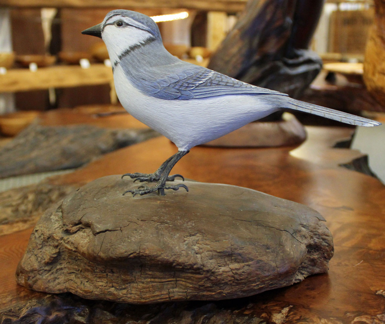 Carved Blue Jay - Forest Gems Gallery