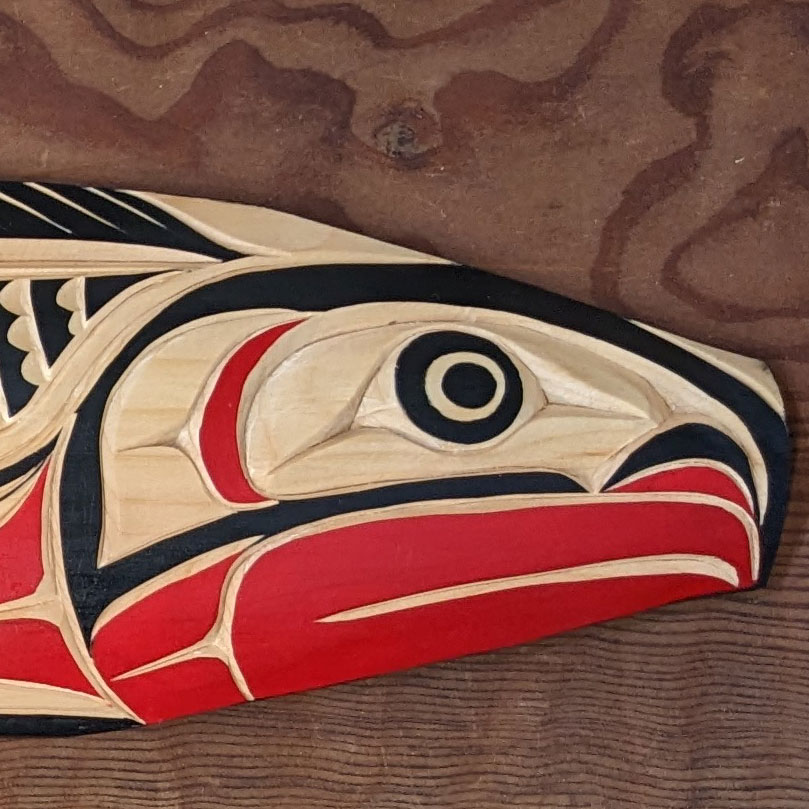 First Nation Animals Drawings