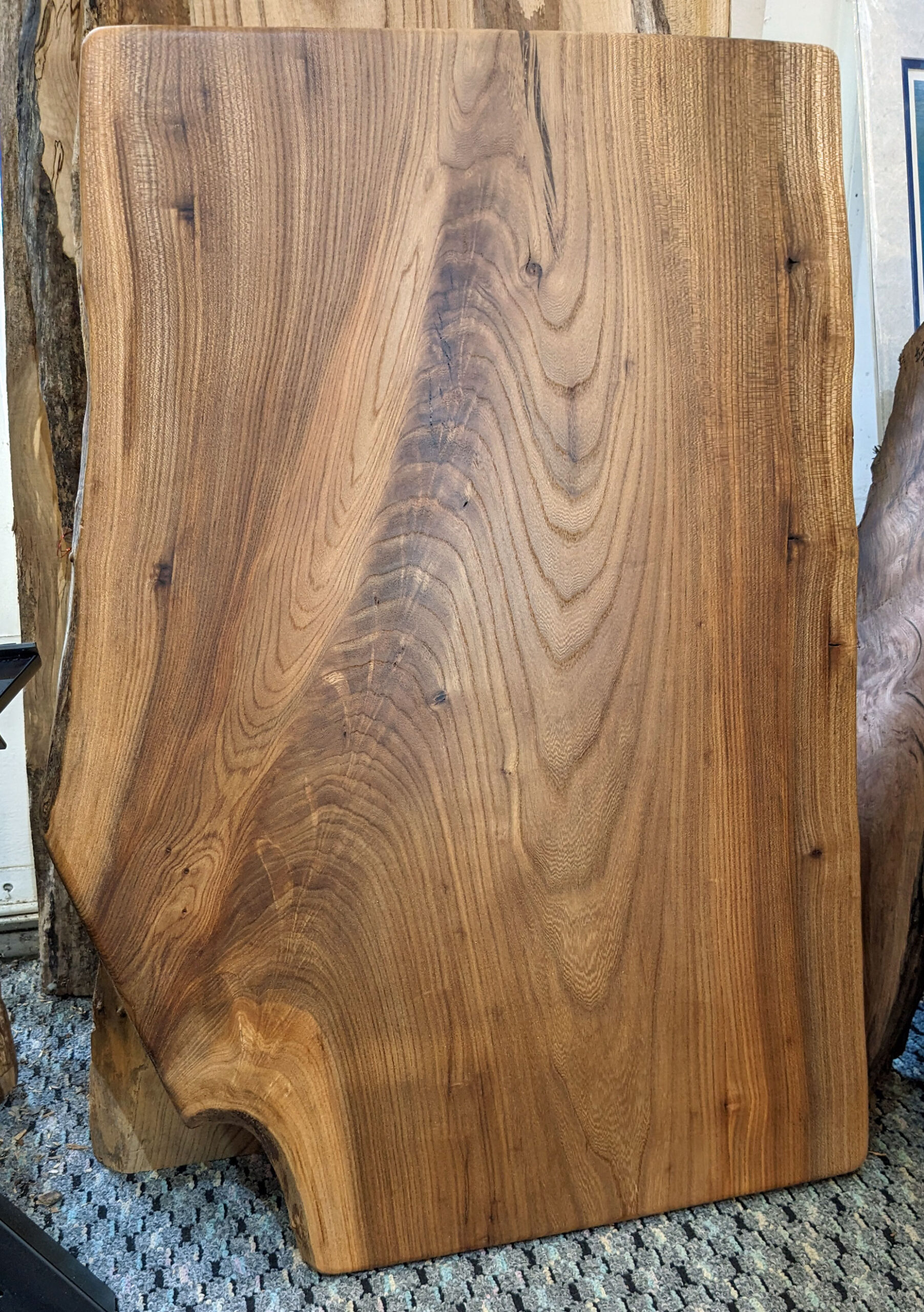 Elm Top 29 x 20 x 1.25 - Forest Gems Gallery